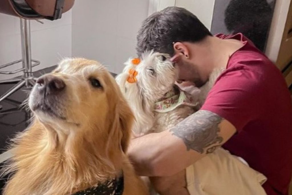 Youtuber Felipe Neto e o amor por animais; veja o que disse
